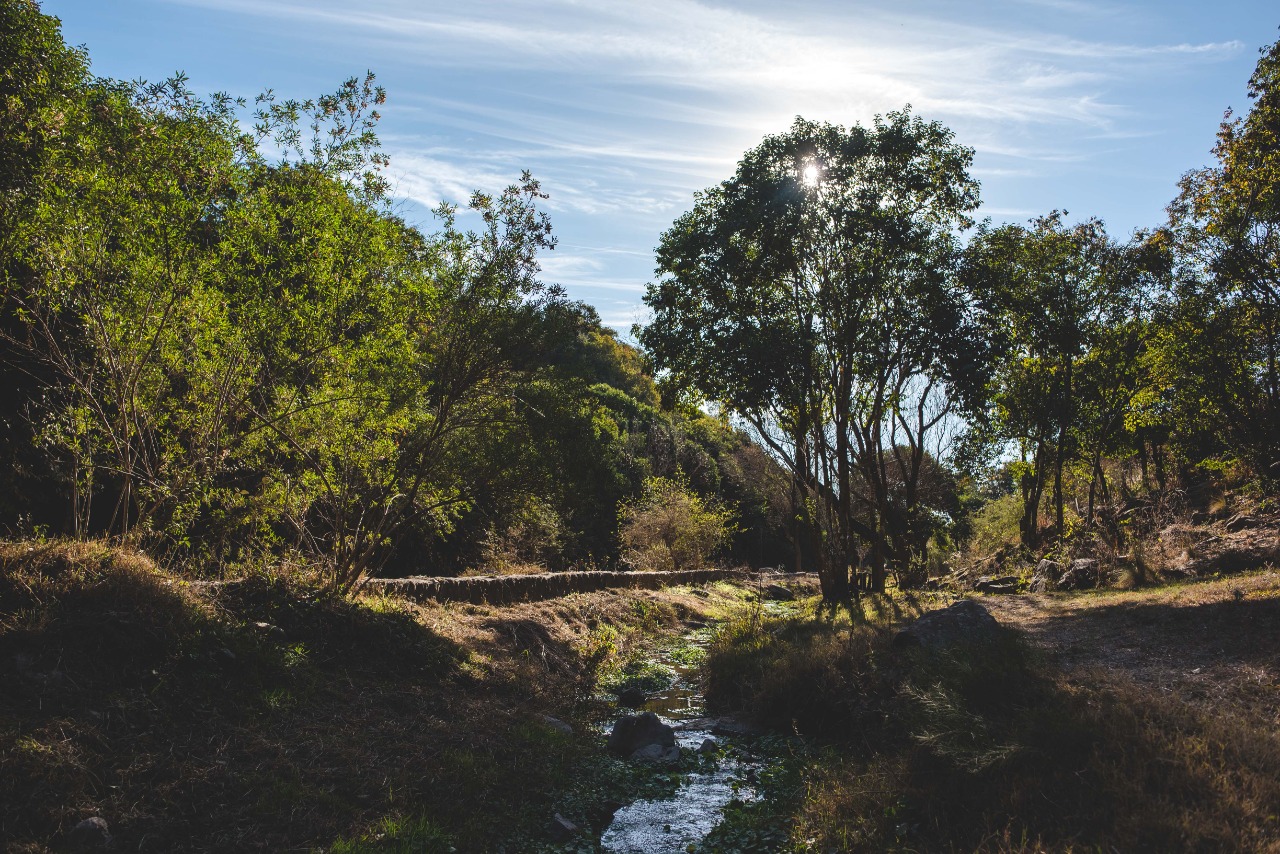 Reserva Los Manantiales de Río Ceballos: ¿en reversa? - ACN